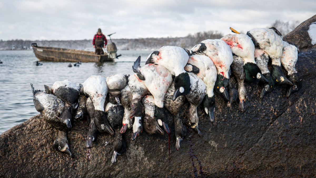 Diver Hunting on BIG WATER with Bemidji State Students – Campus Waterfowl