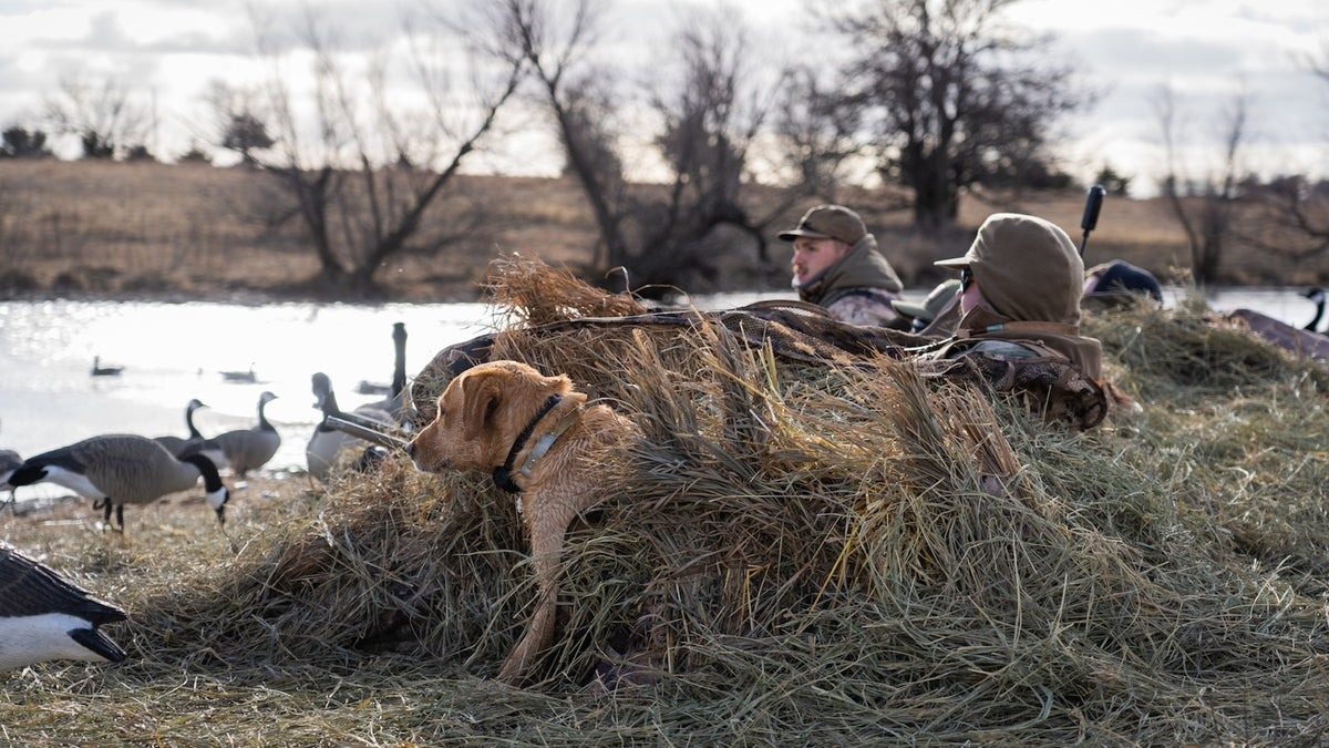 Balancing College Life and Hunting: Time Management Tips – Campus Waterfowl