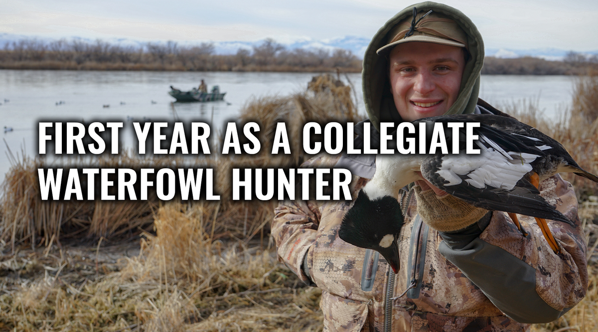 Preparing for College as a Duck Hunter: A High School Student's Roadma ...