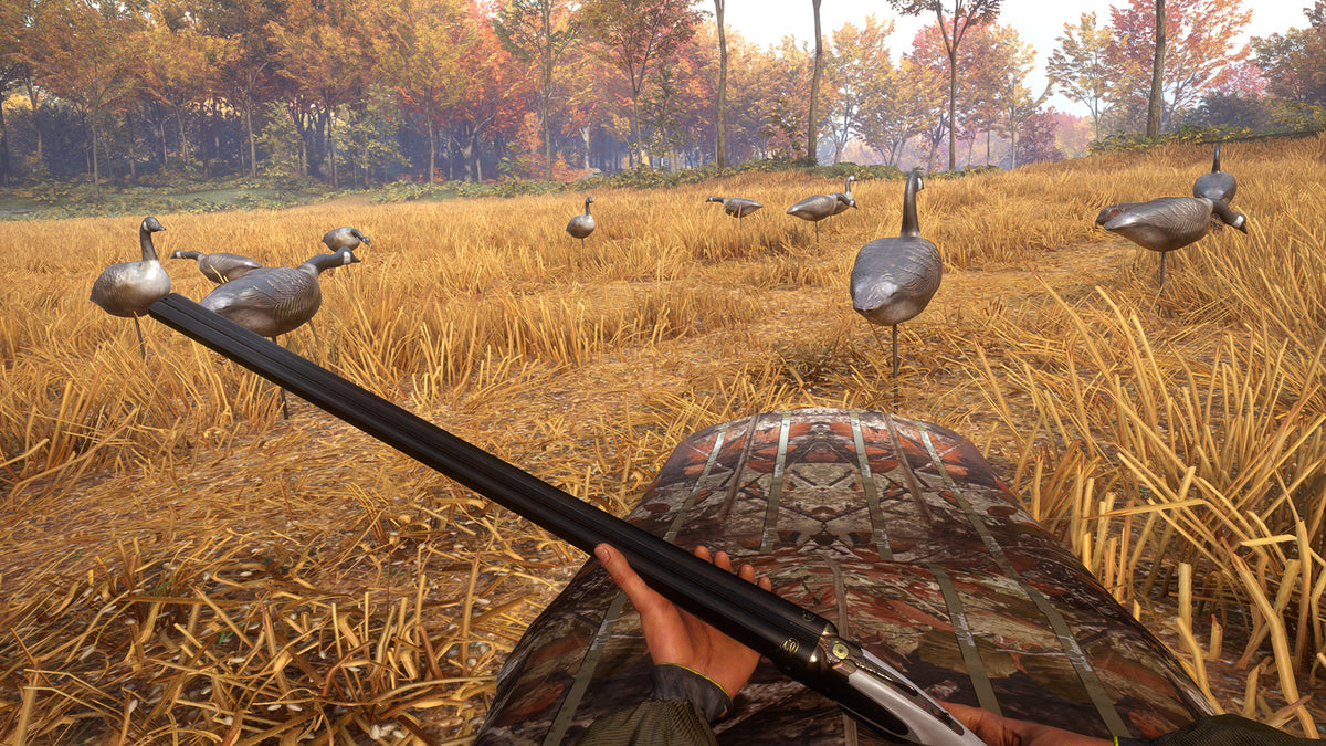 The Top Hunting Games of All Time: A Campus Waterfowl Ranking