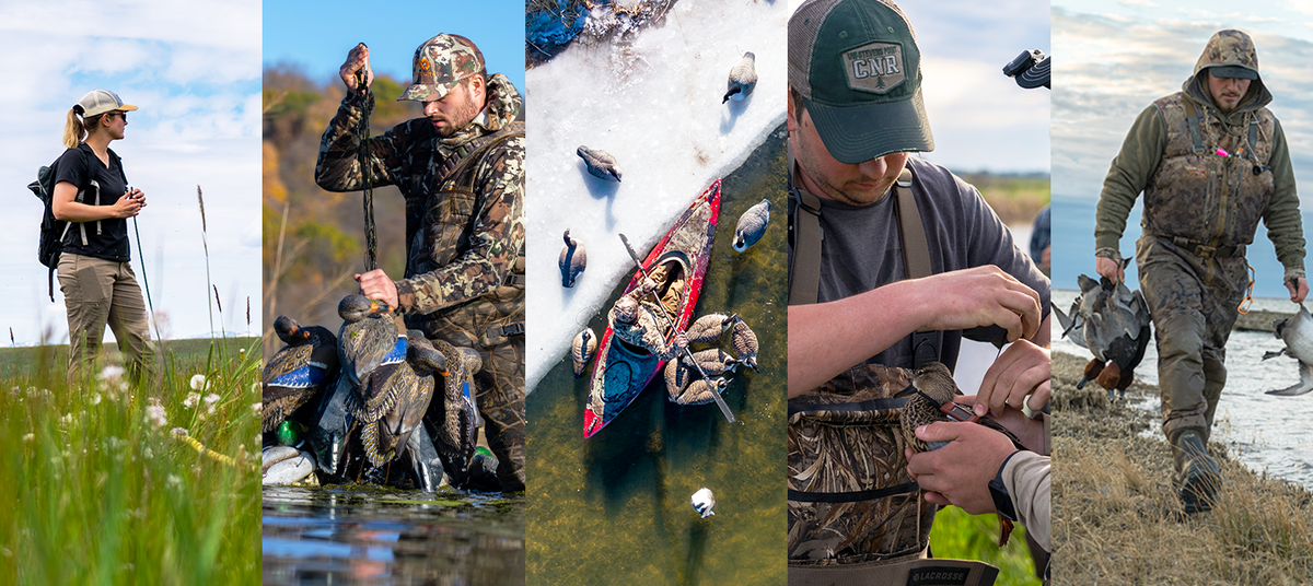 Job Board – Waterfowl Conservation & Wildlife Careers – Campus Waterfowl